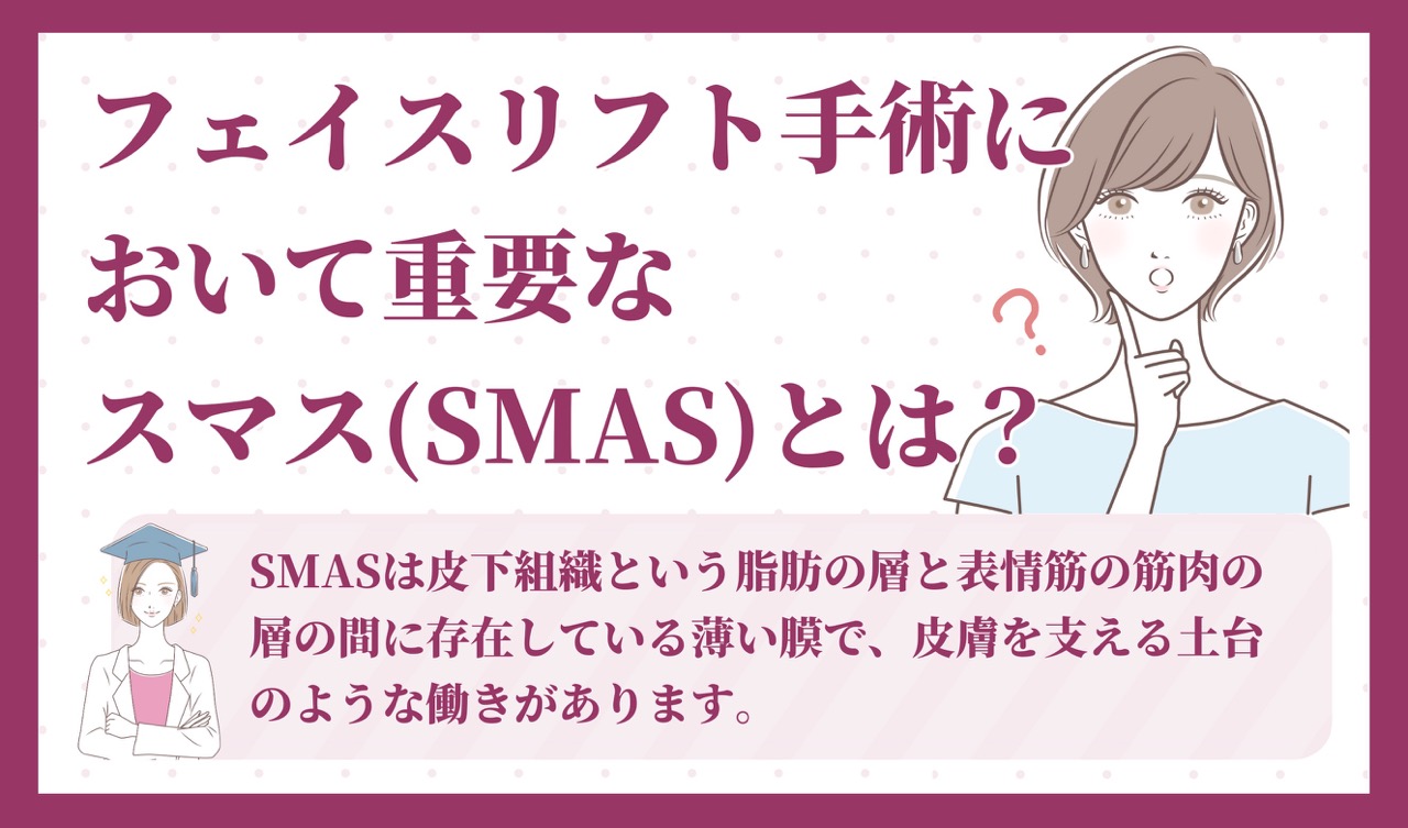 フェイスリフト手術において重要なスマス(SMAS)とは - 切開フェイスリフト手術専門クリニック・恵比寿美容外科